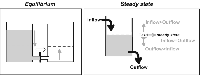 Concepts of Equilibrium and Steady State | Springer Nature Link