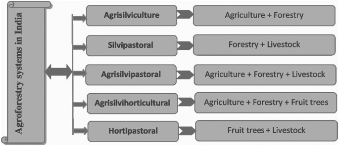 Agroforestry: A Climate Resilient and Sustainable Land Use | SpringerLink