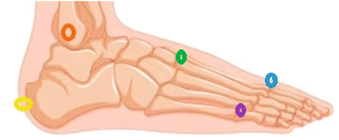 Automatic Detection of Initial Contact and Foot Off Events in Children ...