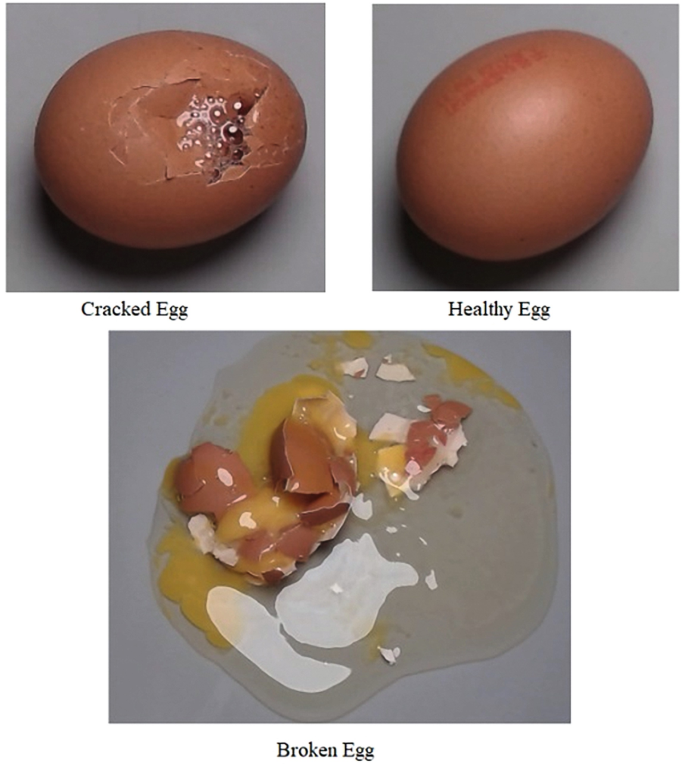 Inner Convolutional Layer Optimized AlexNet Based Broken Egg ...