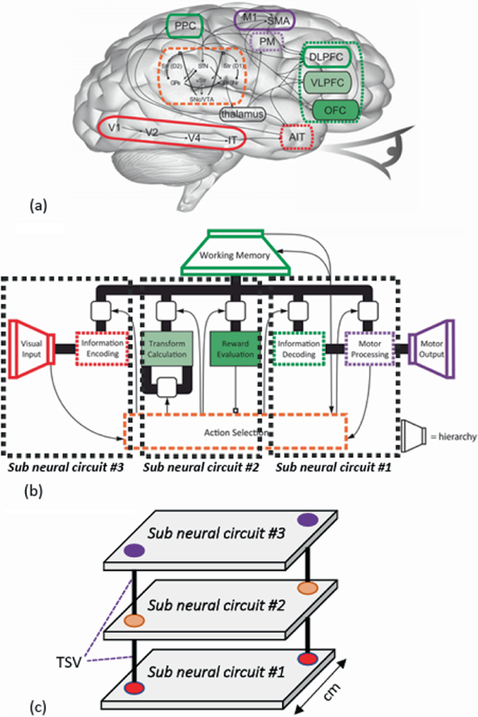 Neuromorphic Computing: Bridging the Gap Between Neuroscience and ...