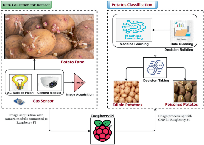 Trailblazing Strategy: Implementing IoT-Powered Machine Learning to ...