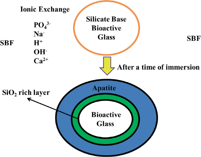 Bioactive Glass for Biomedical Application: An Overview | SpringerLink