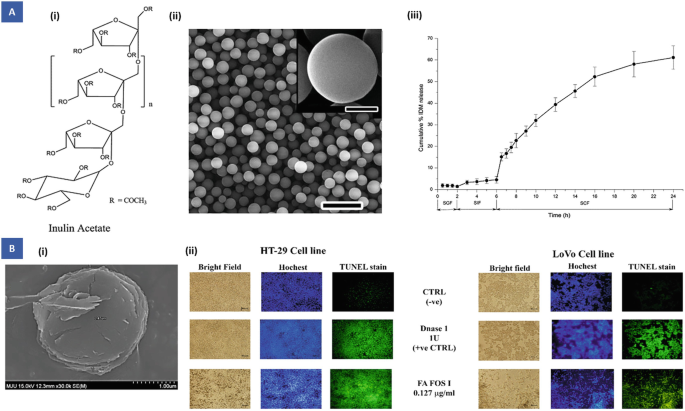 Inulin: A Versatile Polymer in Colon Drug Targeting | SpringerLink