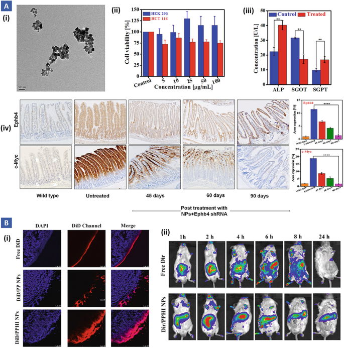 Inulin: A Versatile Polymer in Colon Drug Targeting | SpringerLink