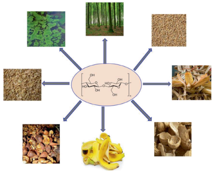Cellulose-Based Nanomaterials in Food Packaging | SpringerLink