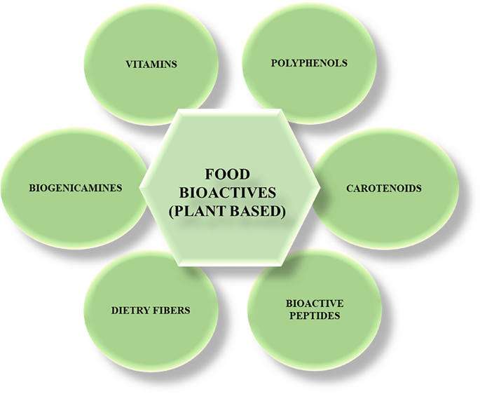 Role of Food Bioactives in Promoting Bone Health | SpringerLink