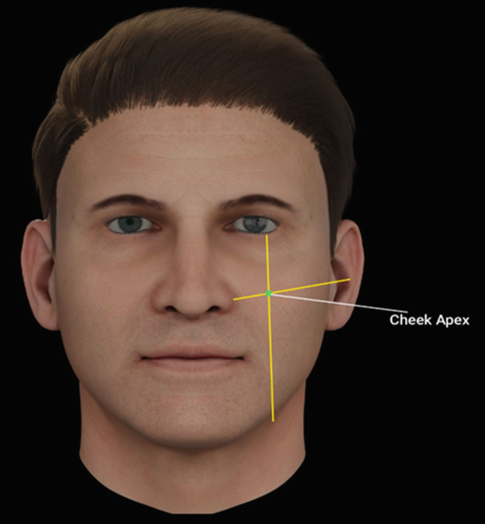Analysis of the Aging Face and Decollate Area | Springer Nature Link