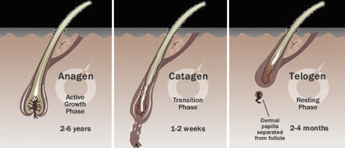 Laser Hair Reduction in Various Skin Types | SpringerLink