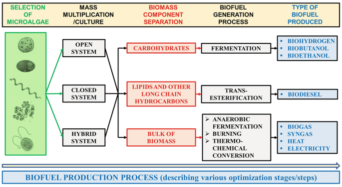 Biofuel Production from Microalgae | Springer Nature Link (formerly ...