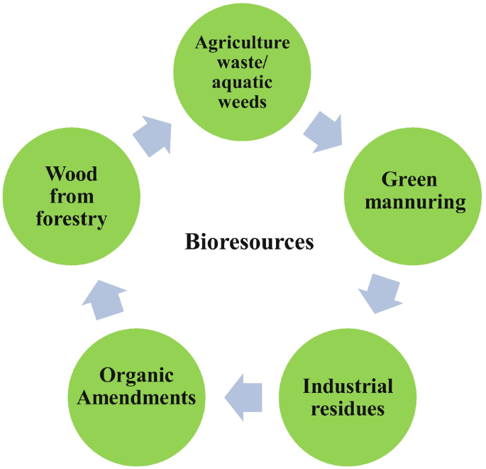 Sustainable Uses of Forest Bioresources | Springer Nature Link
