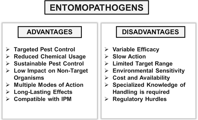 Entomopathogens for Pest Management for Sustainable Agriculture ...