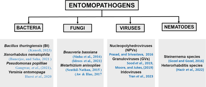 Entomopathogens for Pest Management for Sustainable Agriculture ...