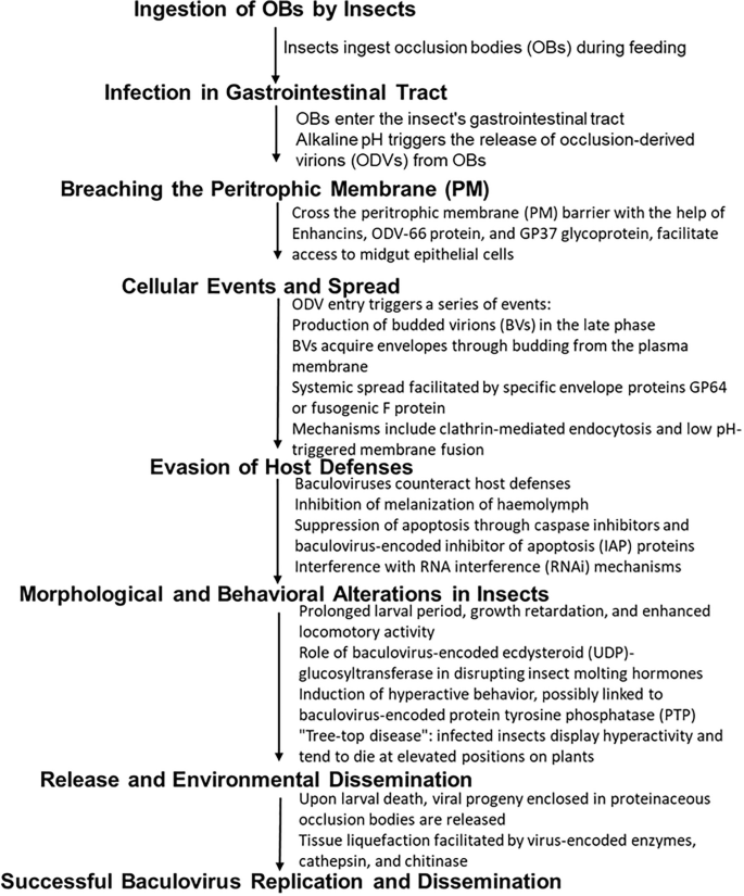 Entomopathogens for Pest Management for Sustainable Agriculture ...