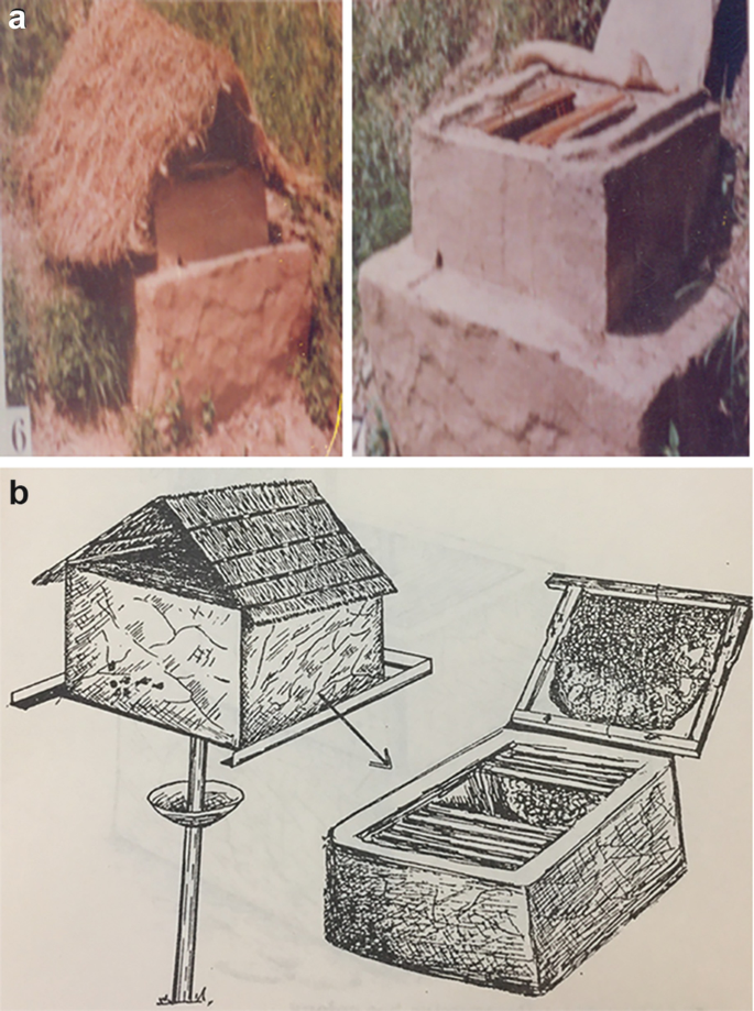 Apiculture for Sustainable Development | SpringerLink