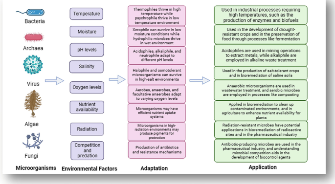Microbial Life and Adaptation on Land, Underwater, and Other Planets ...