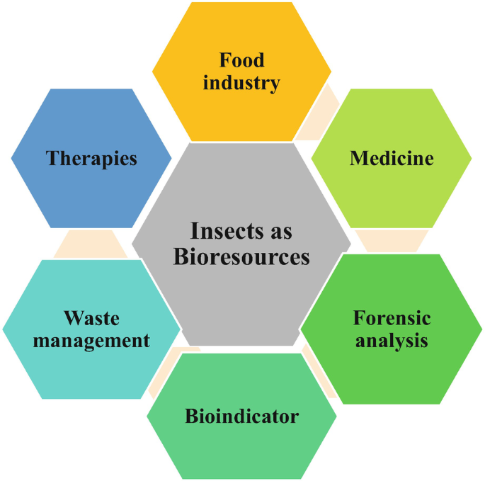 Insect Biotechnology and Bioresources | SpringerLink