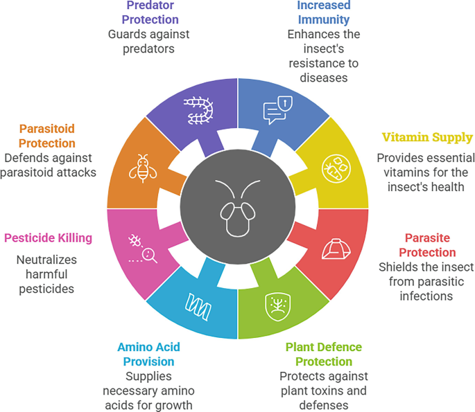 Insect Biotechnology and Bioresources | SpringerLink