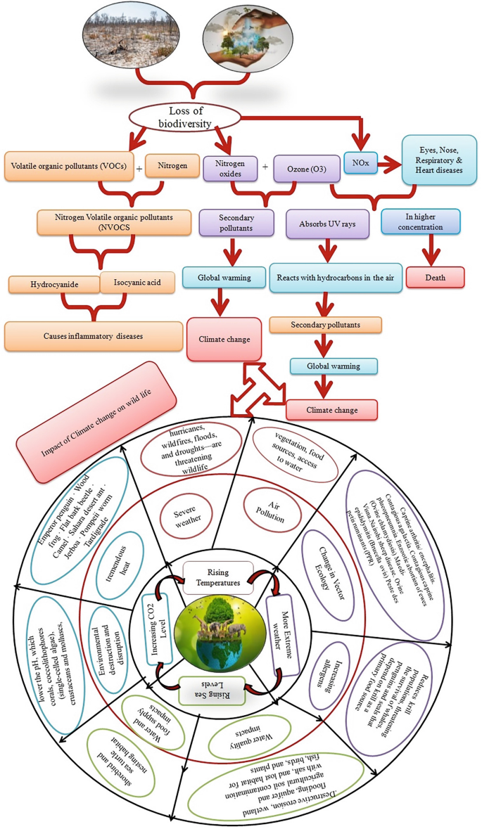 Wildlife and Its Conservation for Sustainable Development | Springer ...