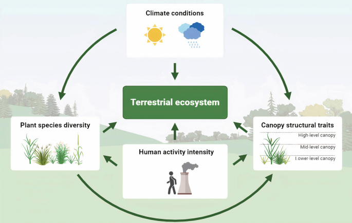 Ecosystems, Biomes, and Ecological Interactions | SpringerLink