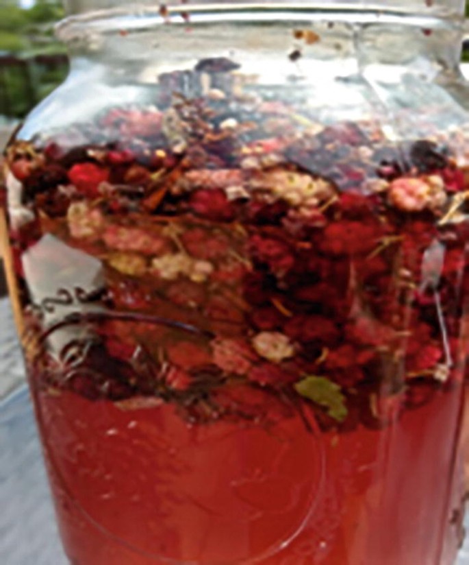 Mulberry a Magic Berry and Its Fermentation: An Overview | SpringerLink