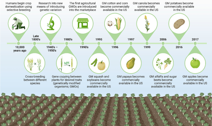 Synergizing Science and Technology for Sustainable Development ...