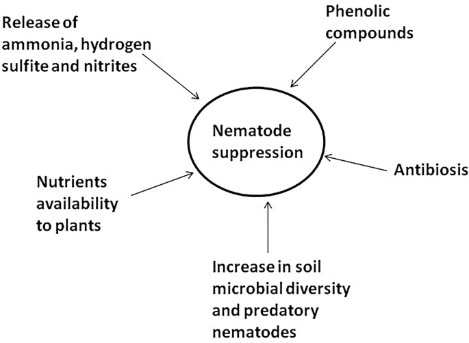 Sustainable Management of Plant Parasitic Nematodes with Vermicompost ...