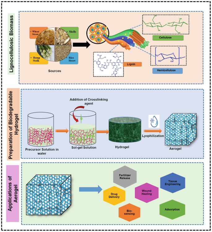 Biodegradable Hydrogels Based on Biopolymers Derived from Waste Biomass ...