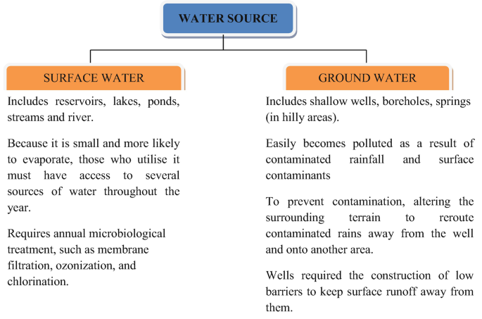 Waterborne Diseases | SpringerLink