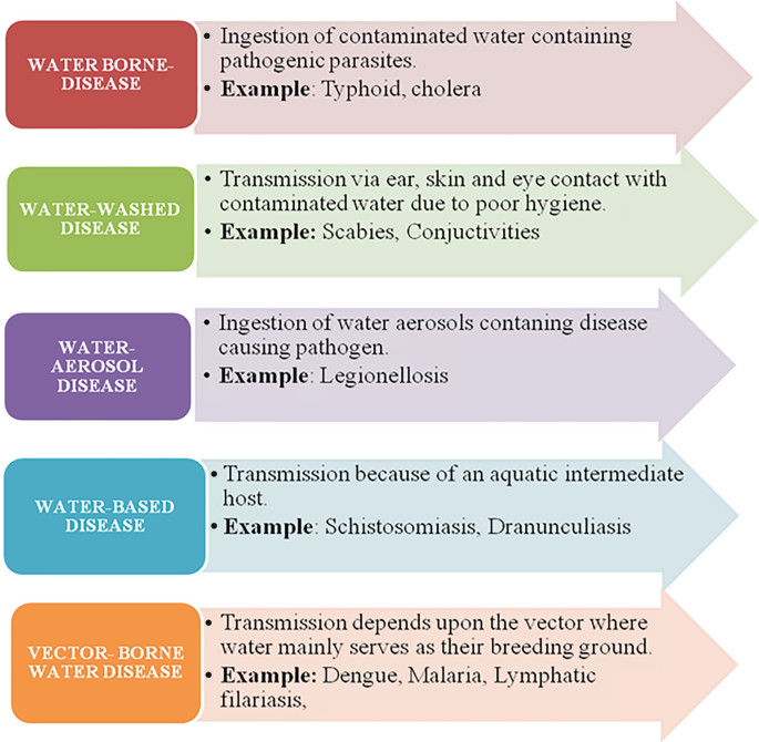 Waterborne Diseases | SpringerLink