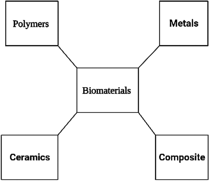 Foundations of Biomaterials: Types, Evolution, and Medical Applications ...