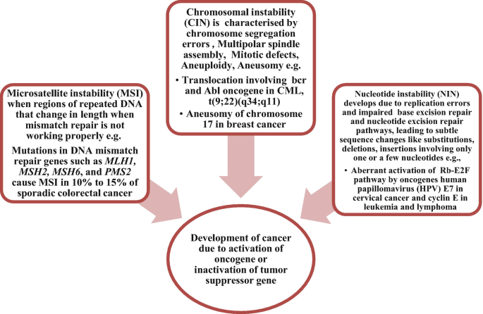 Genetics of Cancer: Past, Present and Future | SpringerLink