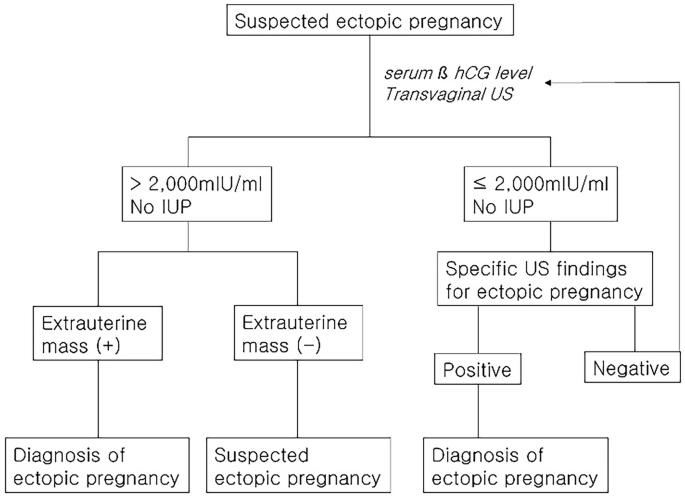 Ectopic Pregnancy | SpringerLink