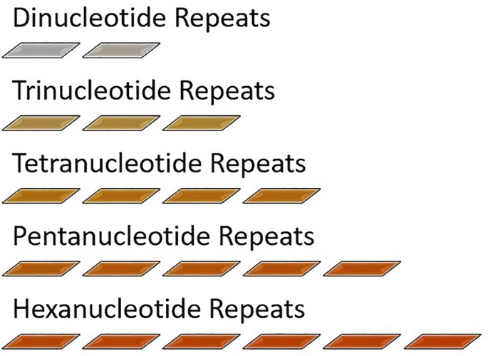 Short Tandem Repeats Profiling | SpringerLink