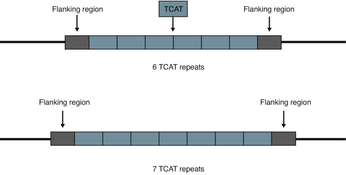 Short Tandem Repeats Profiling | SpringerLink