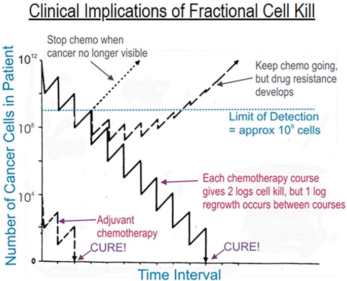 Systemic Treatment of Cancer | SpringerLink