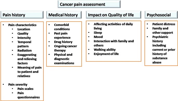 Pain Management | SpringerLink