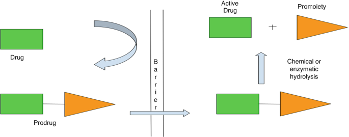 Importance of ADME for Anticancer Prodrugs | SpringerLink