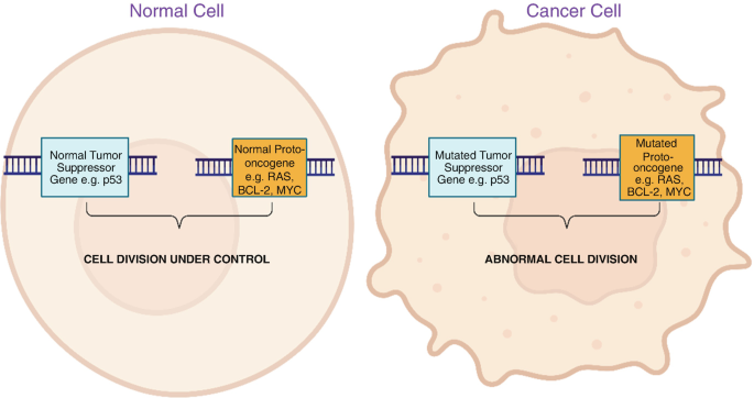 Molecular Mechanisms of Oncogenesis | SpringerLink