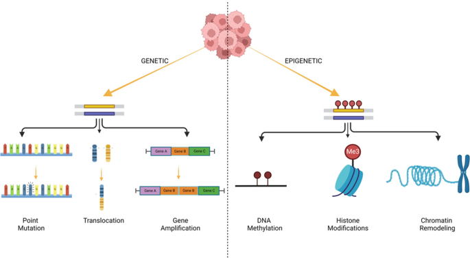 Molecular Mechanisms of Oncogenesis | SpringerLink