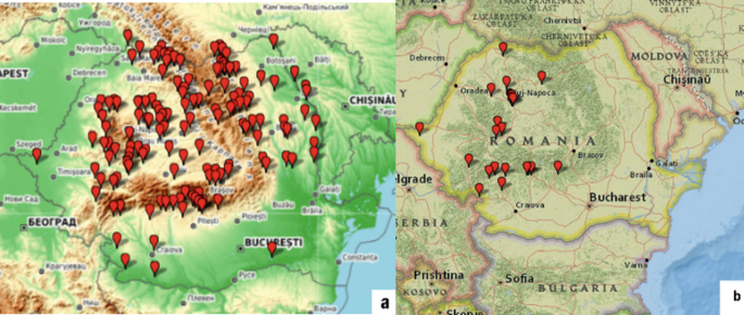Romania Maize Gene Bank | Springer Nature Link