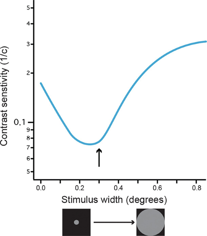 Perceptive Fields and the Study of Inherited Retinal Degeneration ...