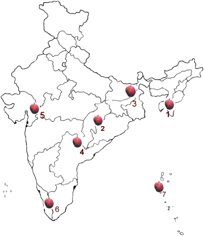Biodiversity and Conservation of Tropical Fruits in India | SpringerLink