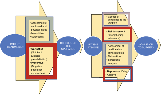 Chondrosarcoma Pelvis for Internal Hemipelvectomy | SpringerLink