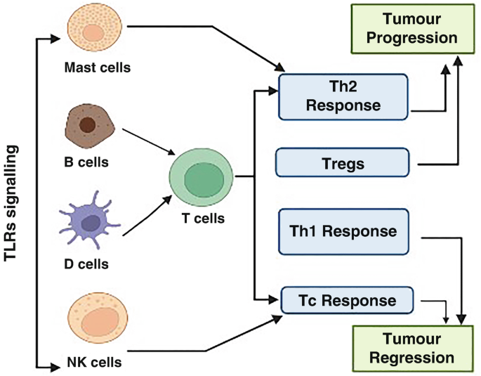 Targeting Toll-Like Receptors for the Treatment of Lung Cancer ...