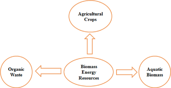 Sources for Biofuels Production from Biomass | SpringerLink