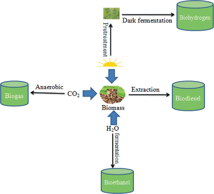 Future Fuels: Biohydrogen as Biofuel | SpringerLink