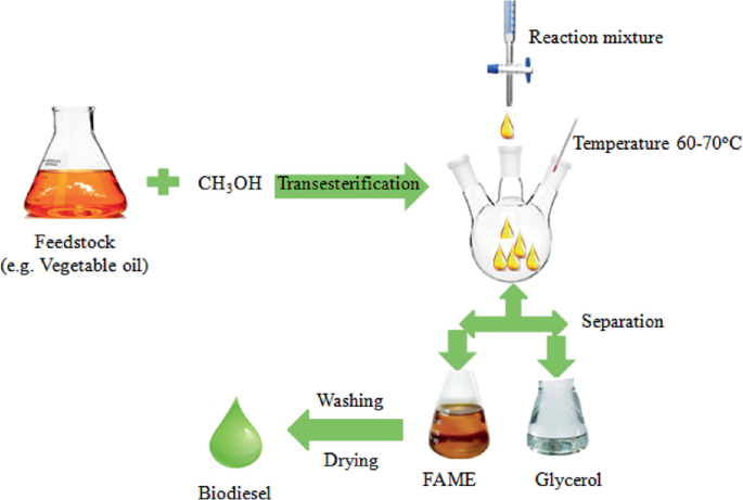 Technologies for the Production of Biogas and Biodiesel in Different ...