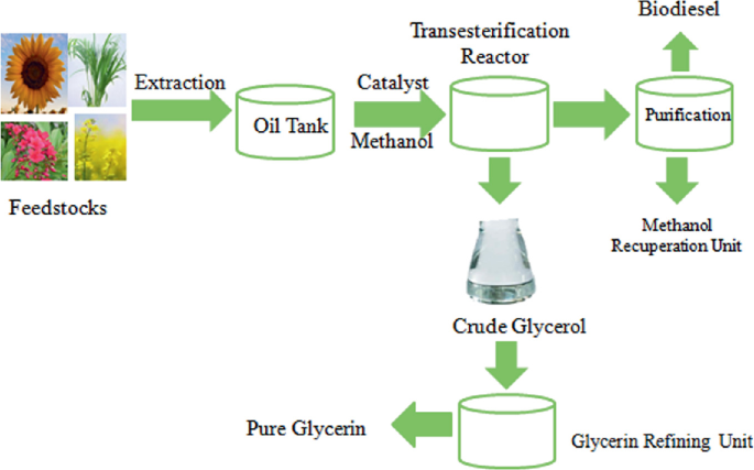 Recent Developments and Applications in Bioconversion and Biorefineries ...