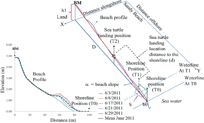 Coastal Landscape Analysis of Sea Turtle Nesting Beaches: A Case Study ...